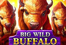 Play Big Wild Buffalo Slot Game Online with High RTP at RetroBet Casino